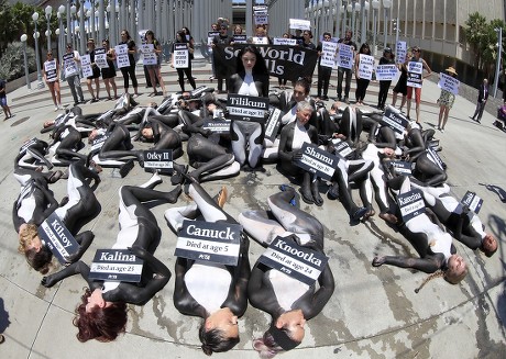 Peta People Ethical Treatment Animals Activists Editorial Stock Photo ...