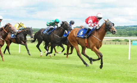 Naas Mo Henry Danny Sheehy Win Editorial Stock Photo - Stock Image ...