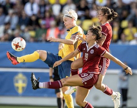 Swedens Nilla Fischer Fights Ball Mexicos Editorial Stock Photo - Stock ...