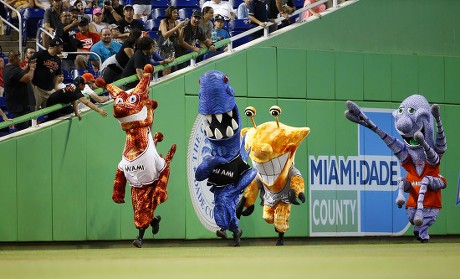 Miami Marlins Sea Creatures Run Field Editorial Stock Photo - Stock ...