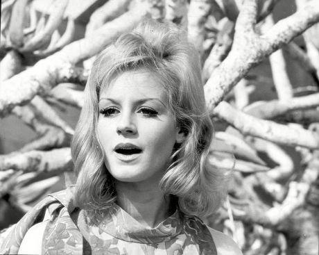 250 Mary ure Stock Pictures, Editorial Images and Stock Photos ...