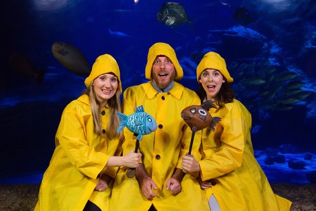 30 Tiddler Stock Pictures, Editorial Images and Stock Photos | Shutterstock