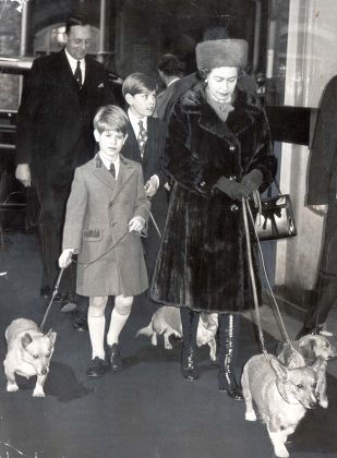 Queen Elizabeth Ii Pet Dogs 30 Editorial Stock Photo - Stock Image ...
