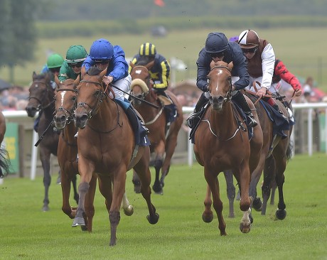 Horse Racing from Newmarket, UK - 15 Jul 2017 Stock Pictures, Editorial ...