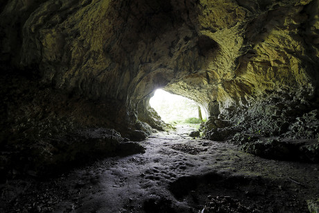 Inside View Ice Age Cave Stadelhoehle Editorial Stock Photo - Stock ...