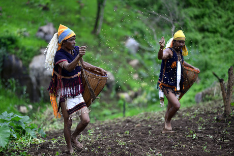 Tiwa Tribesmen Sow Paddy Jhum Field Editorial Stock Photo - Stock Image ...