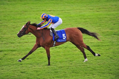 Curragh Actress Seamus Heffernan Easy Winners Editorial Stock Photo ...