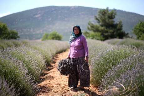 Turkish Villager Nuriye Tezcan Poses Photograph Editorial Stock Photo ...