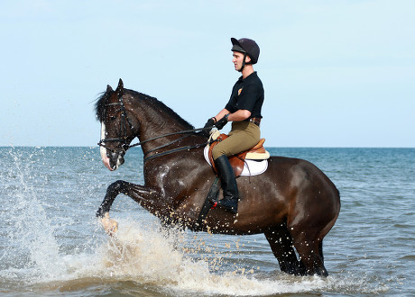 Household Cavalry Mounted Regiment Enjoy Start Editorial Stock Photo ...