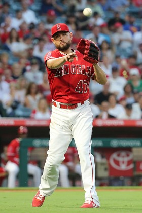 Los Angeles Angels Starting Pitcher Ricky Editorial Stock Photo - Stock ...