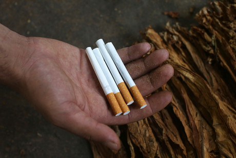 Arabic Tobacco cigarettes, Jenin, --- - 22 Jul 2017 Stock Pictures ...