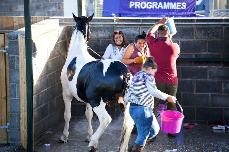 Contestants Have Some Fun Washing Down Editorial Stock Photo - Stock ...