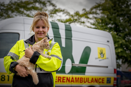 Animal Helpers Dierenbescherming On Patrol Their Editorial Stock Photo ...