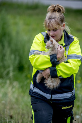 Animal Helpers Dierenbescherming On Patrol Their Editorial Stock Photo ...