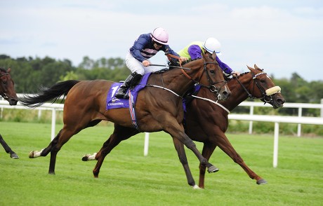 Leopardstown Magwadiri Wayne Lordan Left Wins Editorial Stock Photo ...