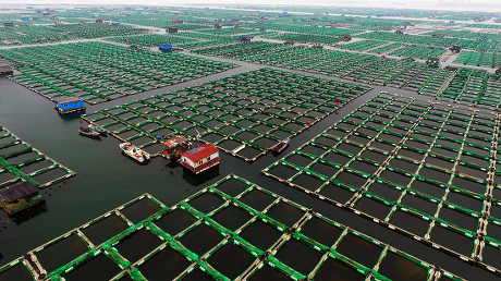 43 Mariculture Stock Pictures, Editorial Images and Stock Photos ...