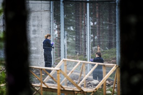 Police Forensic Team Investigate Scene Editorial Stock Photo - Stock ...