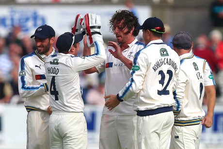 Ryan Sidebottom Yorkshire Celebrates Taking Wicket Editorial Stock ...