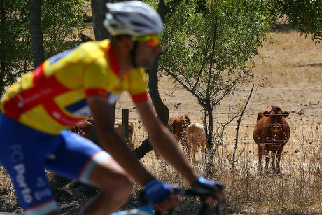 Spanish Cyclist Raul Alarcon W52fc Porto Editorial Stock Photo - Stock ...