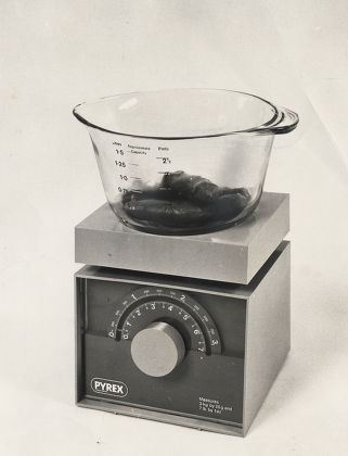45 Pyrex Stock Pictures, Editorial Images and Stock Photos | Shutterstock