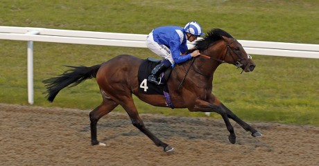 Karawaan Jim Crowley Wins Totepool Follow Editorial Stock Photo - Stock ...