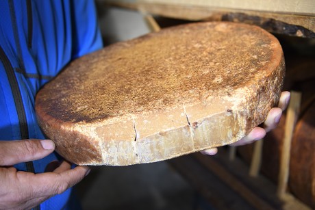 Man Holds Oldest Cheese Made 1875 Editorial Stock Photo - Stock Image ...