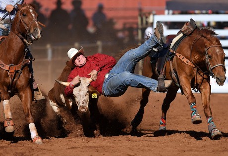 Biggest rodeo in the Southern Hemisphere - Mount Isa Rodeo in ...