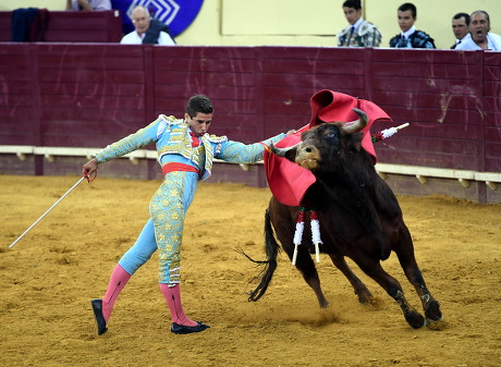 Bullfighting, Lisbon, Portugal - 10 Aug 2017 Stock Pictures, Editorial ...