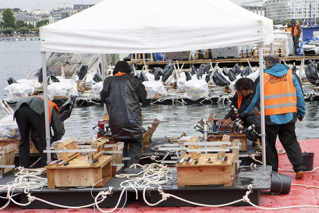 Pyrotechnicians Finish Preparing Fireworks One Day Editorial Stock ...