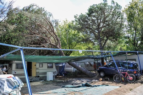 Fallen Trees Lay On Damaged Tents Editorial Stock Photo - Stock Image ...