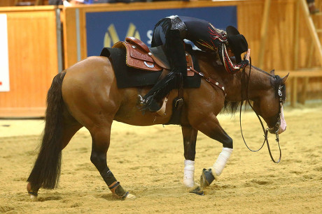 __COUNT__ FEI World Reining Championships, CS Ranch, Givrins, Switzerland - 11 Aug 2017 Stock ...