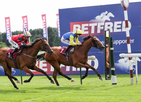 Punkawallah Richard Kingscote Wim Haydock Park Editorial Stock Photo ...