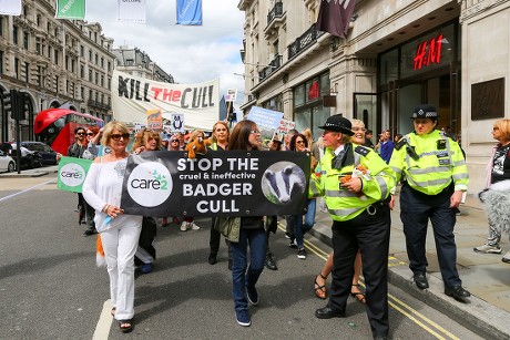 Police Talk Demonstrators Editorial Stock Photo - Stock Image ...