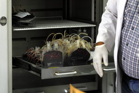 Yemeni Medic Organizes Blood Bags Refrigerator Editorial Stock Photo ...