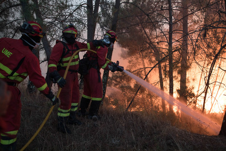 Spanish Firefighters Unidad Militar De Emergencia Editorial Stock Photo ...
