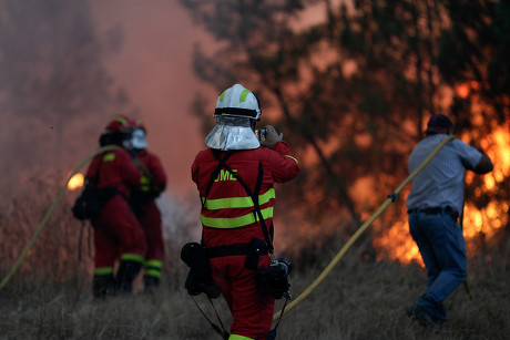 Spanish Firefighters Unidad Militar De Emergencia Editorial Stock Photo ...