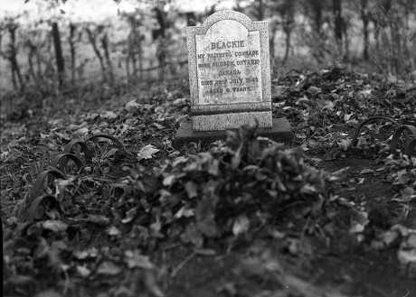 7 Meadowhead Stock Pictures, Editorial Images and Stock Photos ...