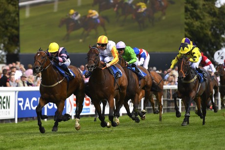 __COUNT__ Summer Holiday Family Races & totepool Sovereign Stakes ...