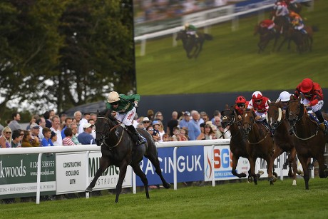 __COUNT__ Summer Holiday Family Races & totepool Sovereign Stakes ...