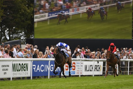 __COUNT__ Summer Holiday Family Races & totepool Sovereign Stakes ...