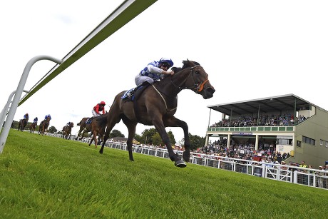 __COUNT__ Summer Holiday Family Races & totepool Sovereign Stakes ...