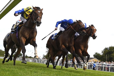 Winner Totepool Sovereign Stakes Ballet Concerto Editorial Stock Photo ...