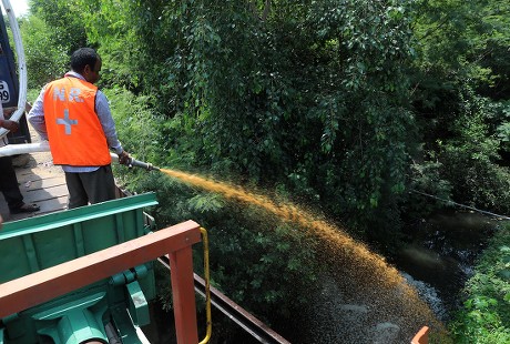 Indian Municipal Corporation Worker Pours Insecticides Editorial Stock ...