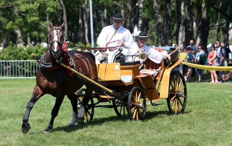 Polish Gorals Highlanders Compete Horsedrawn Carriage Editorial Stock ...