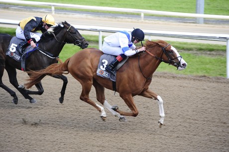 Dundalk Freescape Oisin Orr Winning Trainer Editorial Stock Photo ...