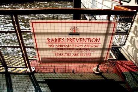 Rabies Warning Sign On River Thames Editorial Stock Photo - Stock Image ...
