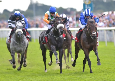 York Races, Horse Racing, York Racecourse, UK - 26 Aug 2017 Stock ...