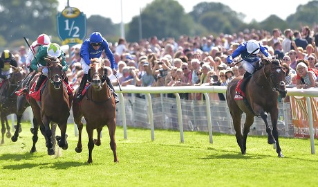 York Races, Horse Racing, York Racecourse, UK - 26 Aug 2017 Stock ...