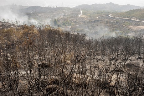 Burnt Land During Forest Fire Monterrei Editorial Stock Photo - Stock ...
