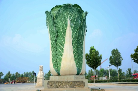 9metertall Sculpture Chinese Cabbage Editorial Stock Photo - Stock ...